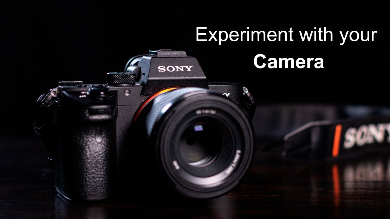 Experiment with your camera. (A complete overview of your camera body ...