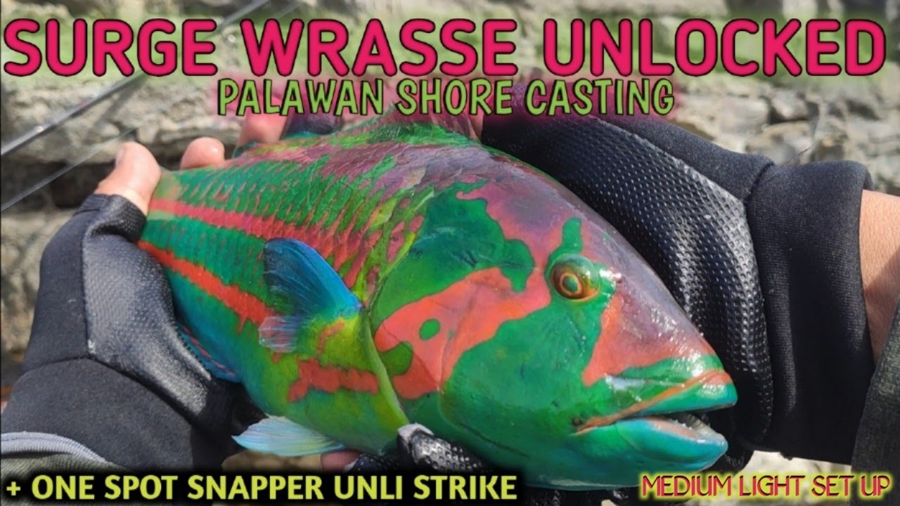 Surge Wrasse Unlocked | Fishing In The Philippines | Shore Casting ...
