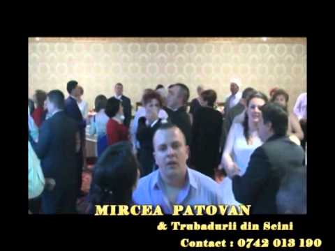 Ma asteapta puiul meu acasa Live -Nunta Adi&Alexandra | Audio Download