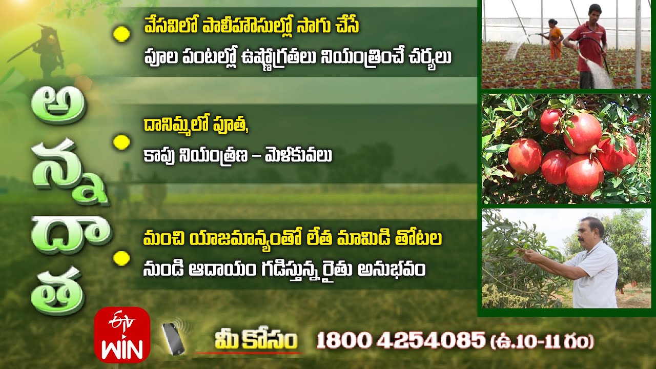 31st March 2024 | Annadata | అన్నదాత | Full Episode | ETV Telugu - YouTube