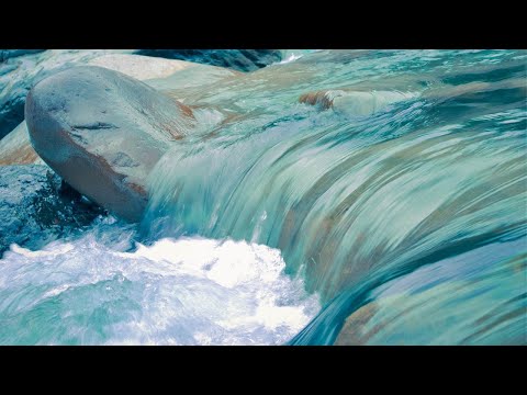 Nature Video 30 Seconds|Nature WhatsApp Status Video|Nature Background Videos