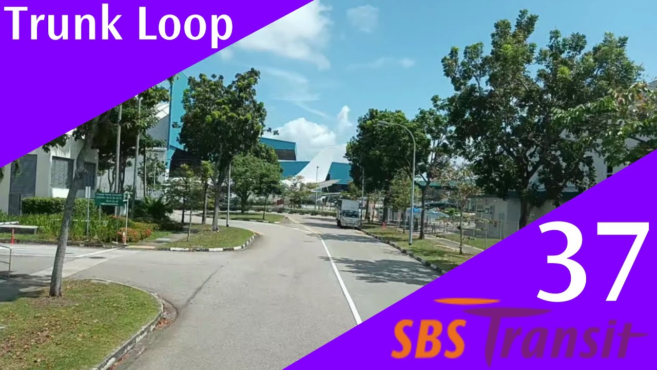 Singapore SBS Transit Trunk Bus Service 37 Route Visual - YouTube
