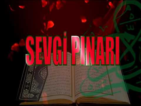 SEVGİ PINARI