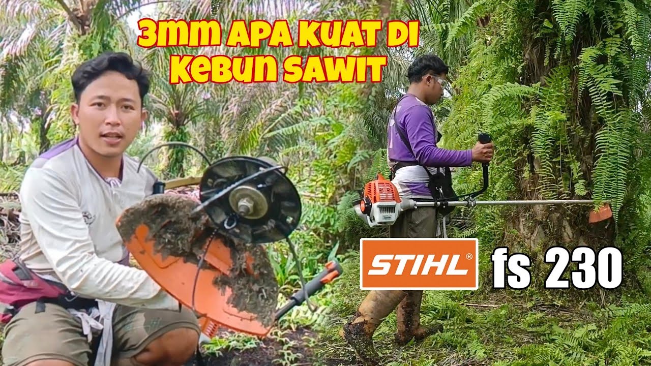 POTONG RUMPUT DENGAN SENAR NYLON 3MM DI KEBUN SAWIT LEBIH AMAN TRIMMER ...