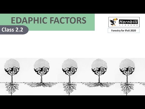3. IFoS-2020 | Silviculture - Edaphic factors - YouTube