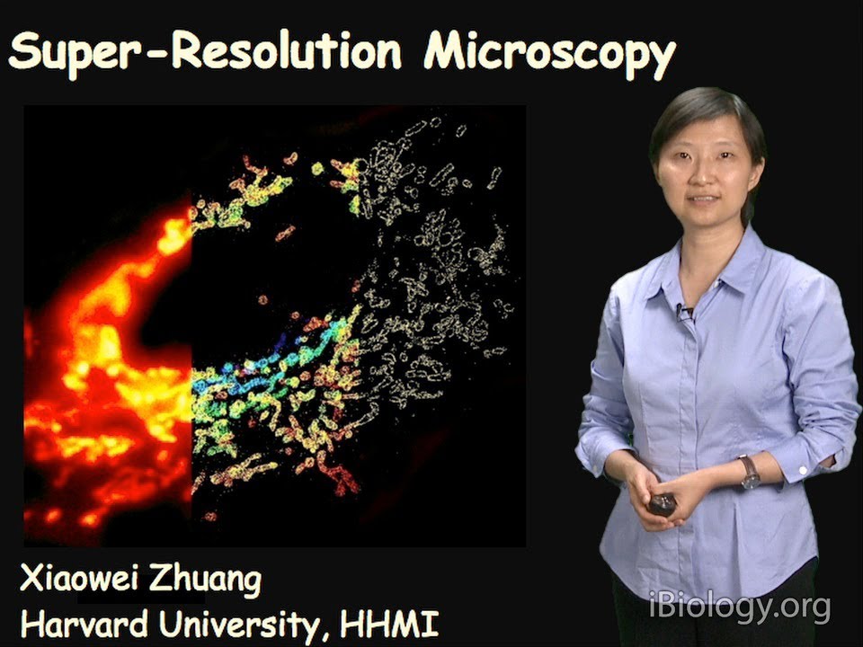 Microscopy: Super-Resolution Microscopy (Xiaowei Zhuang) - YouTube