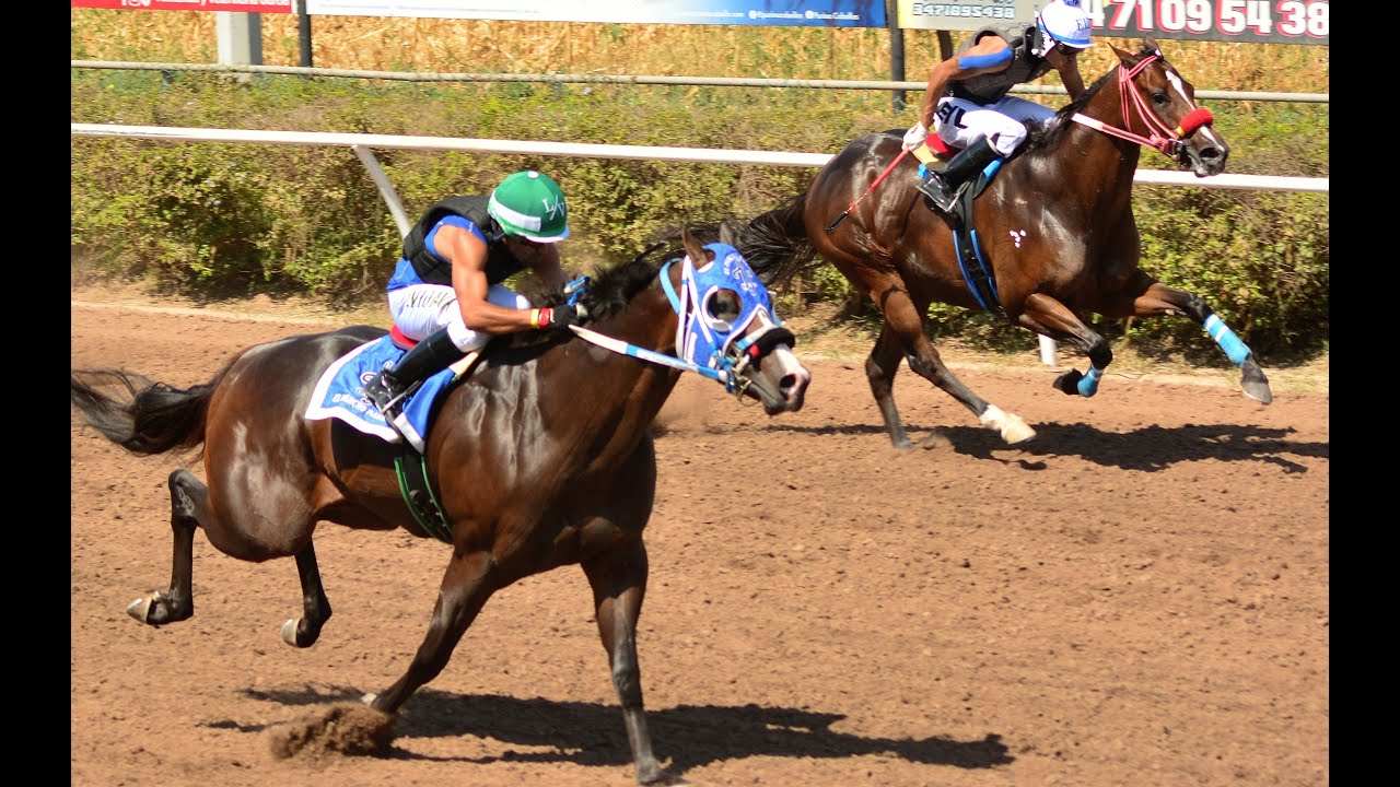Fresno Hipódromo - LA PEQUEÑA VS EL PANCHO MANGO - 26 DE MAYO DE 2024 ...