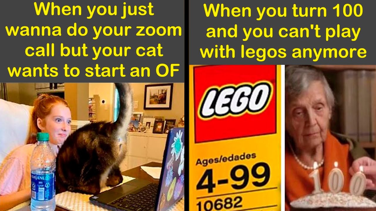Random Memes That Deliver A Solid Dose Of Hilarious Nonsense | Humor ...