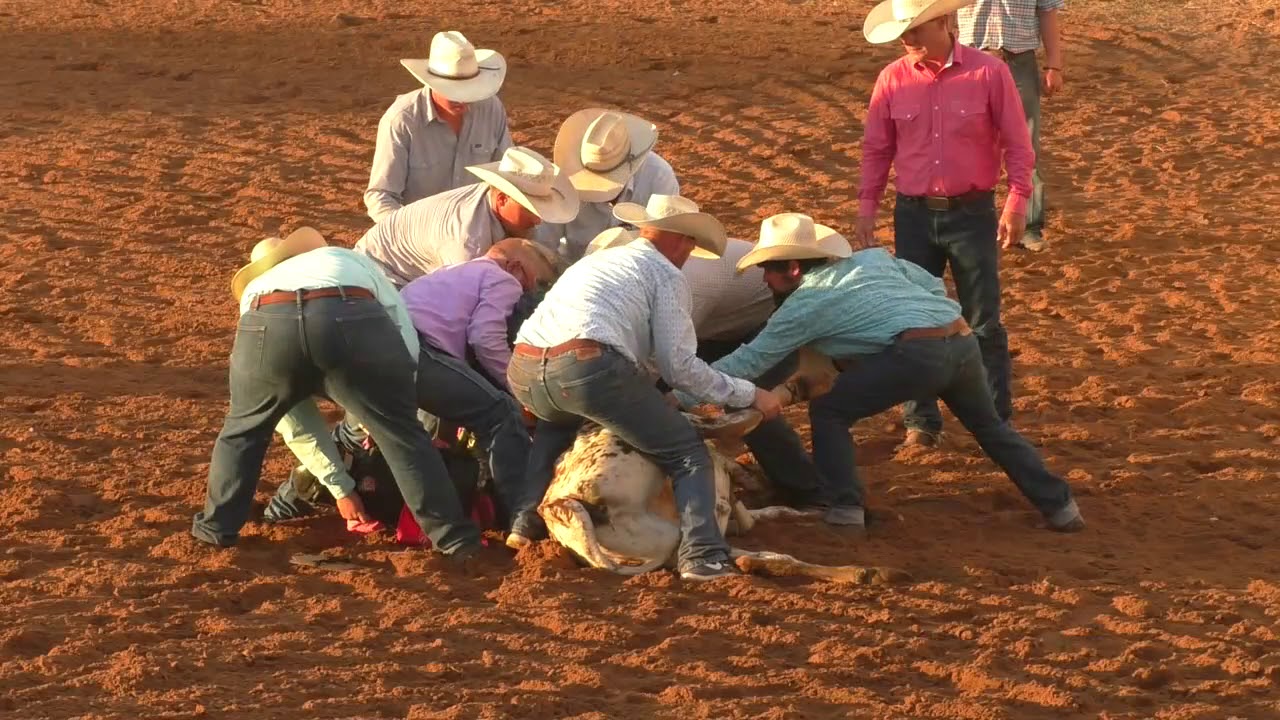 Steer Riding - 2019 Saint's Roost Ranch Rodeo (Saturday) - YouTube