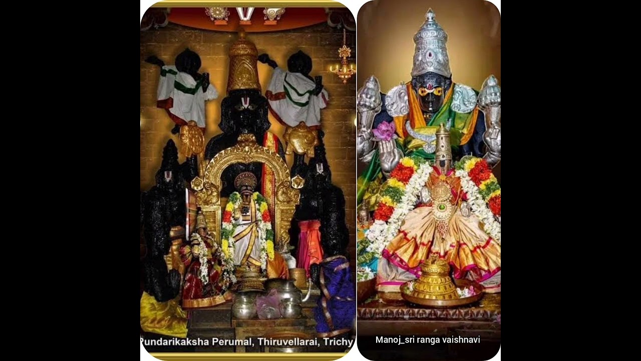 4th divyadesam thiruvellarai sri pundarikatcha perumal, pankajavalli ...