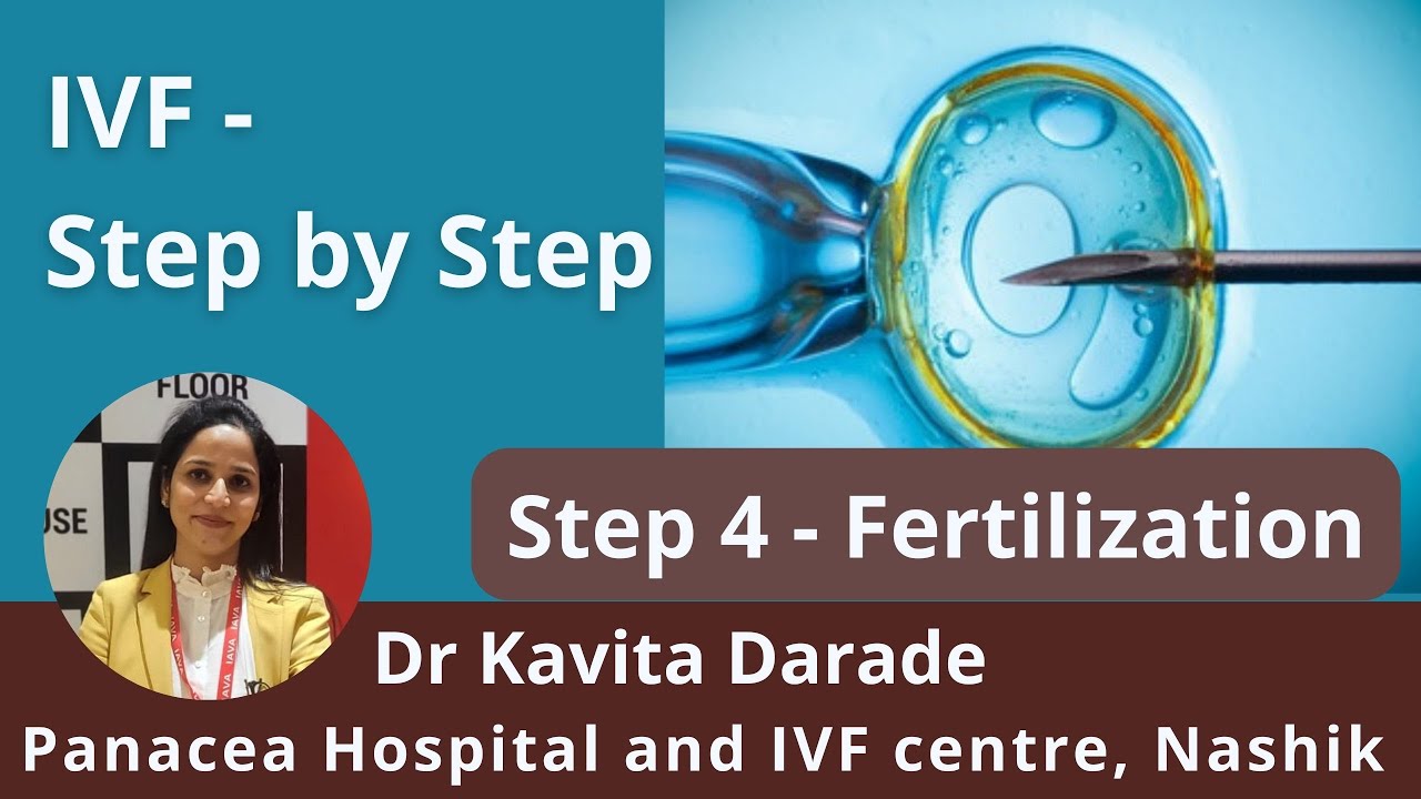 IVF Step By Step 4 - Fertilization / आय. व्ही. एफ. उपचार पद्धती - भाग ४ ...