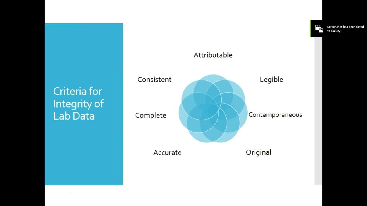 lesson 23 data integrity - YouTube