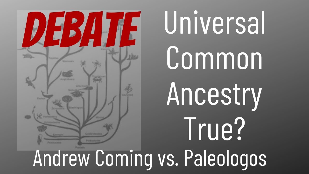 Debate: Is Universal Common Ancestry True? - YouTube