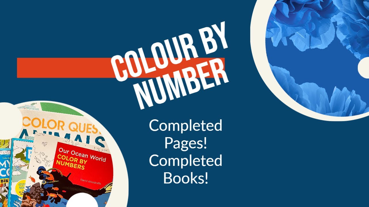 Colour By Number | Completed Books | Completed Pages in new books using ...