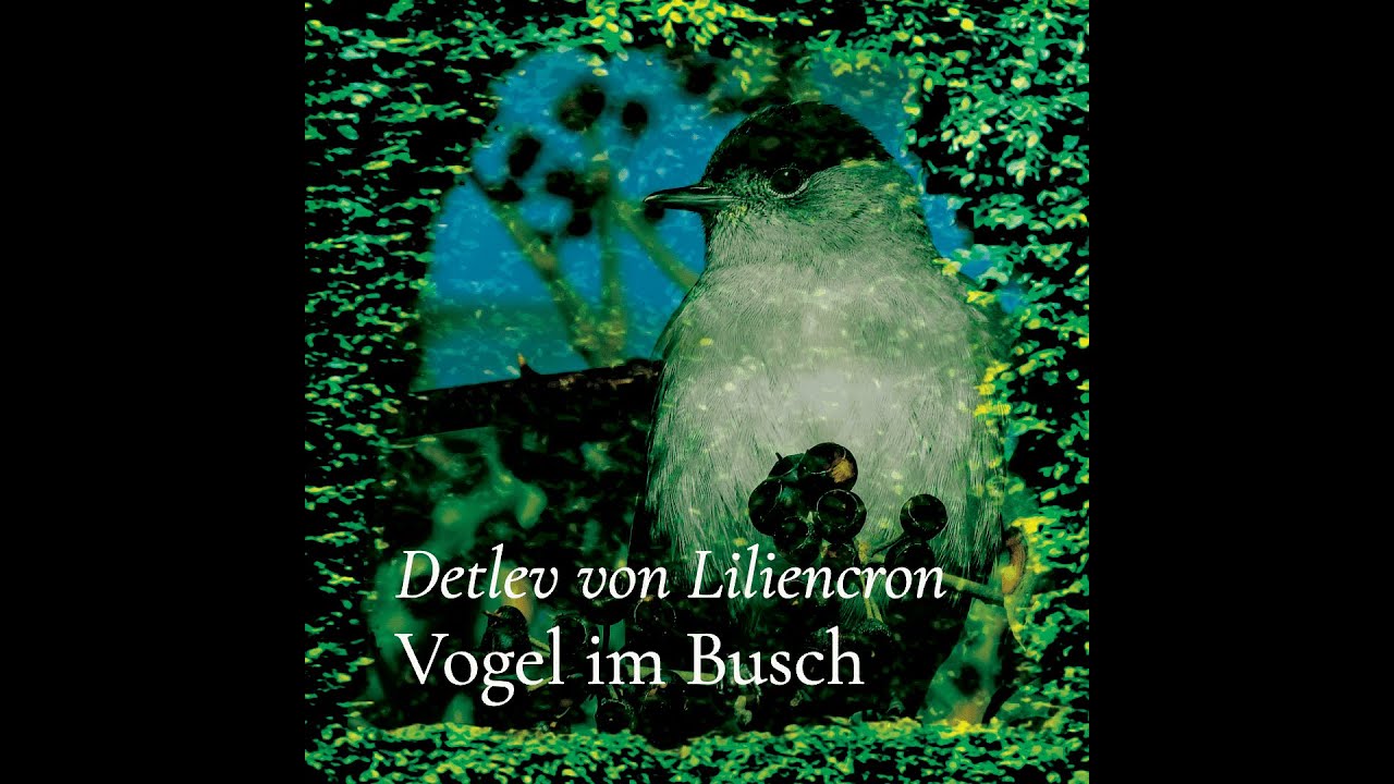 «Vogel im Busch» (Detlev von Liliencron) – vorgetragen von Tom von Arx ...