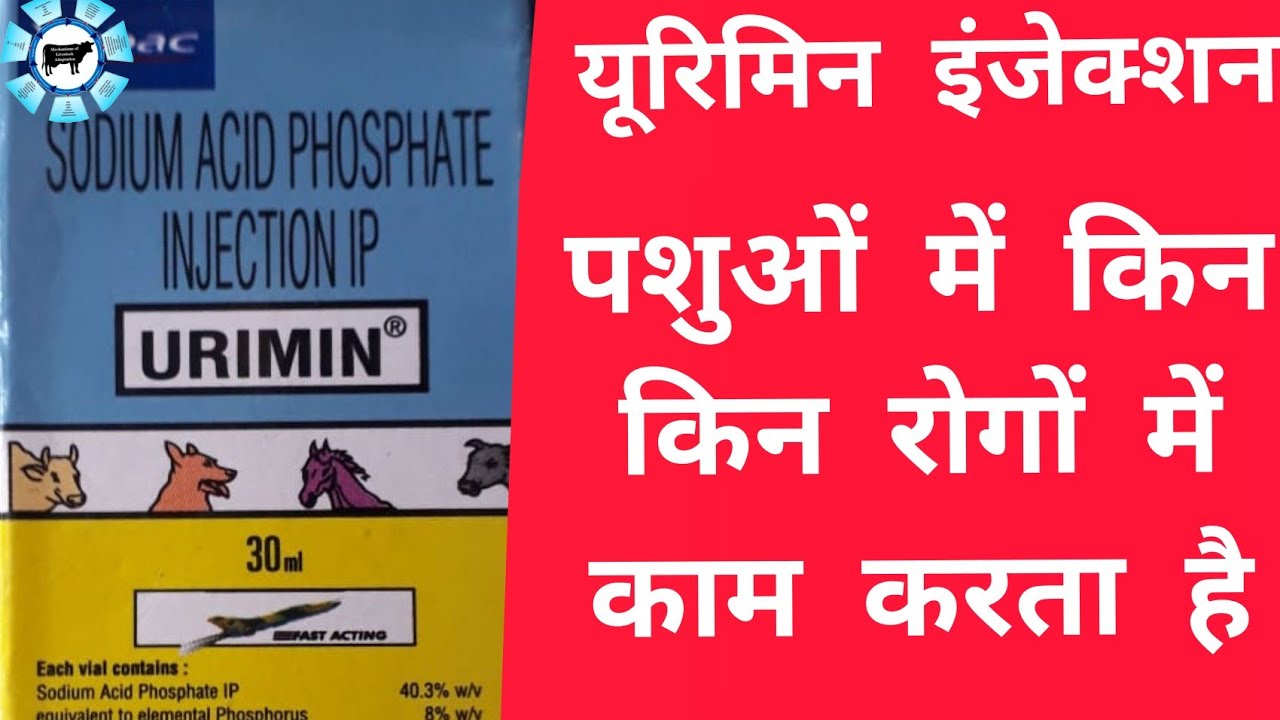 URIMIN inj.पशुओं में किन-किन रोगों में काम करता है | sodium Acid ...