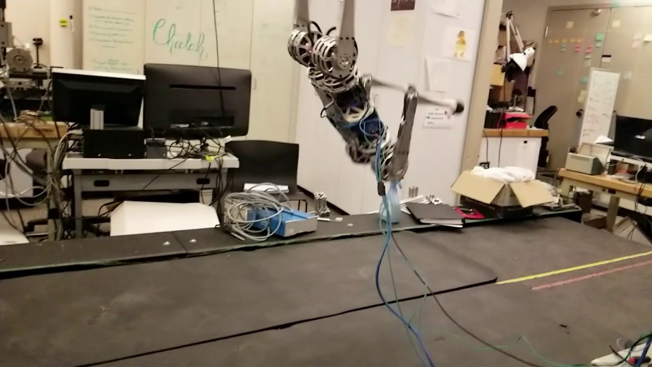 Mini Cheetah Backflips - YouTube