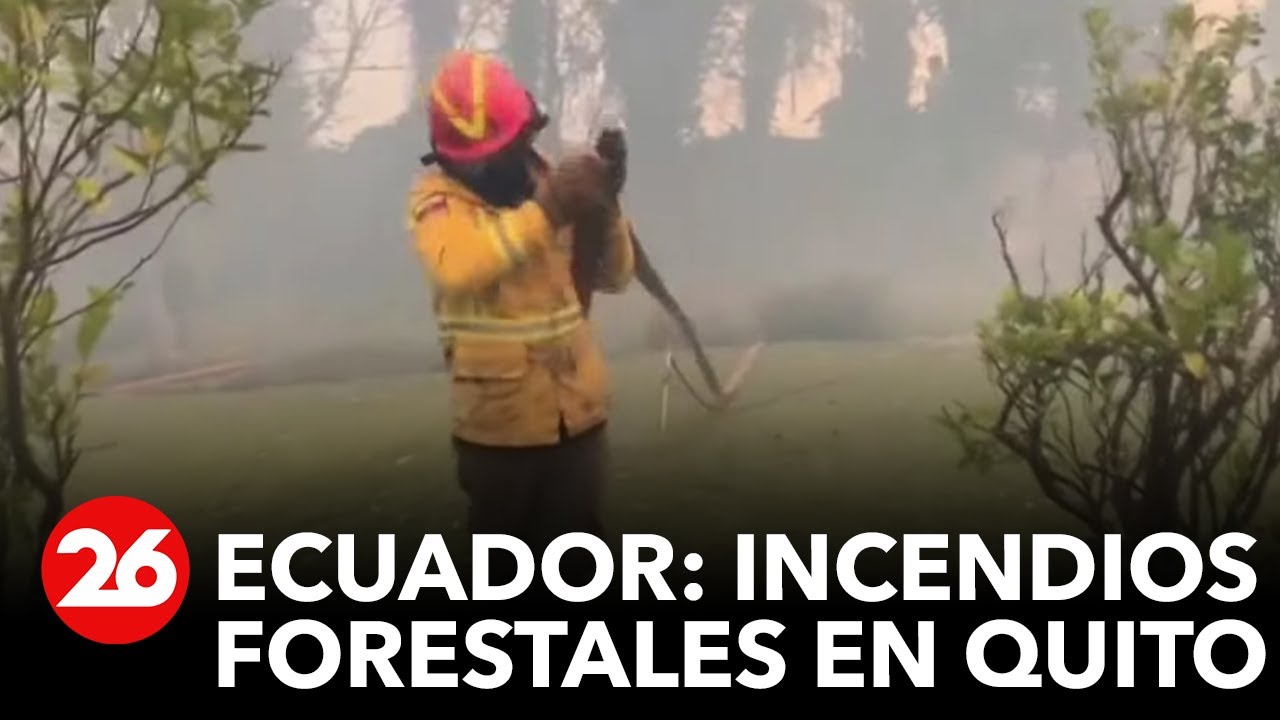 22 incendios forestales en la capital de Ecuador - YouTube