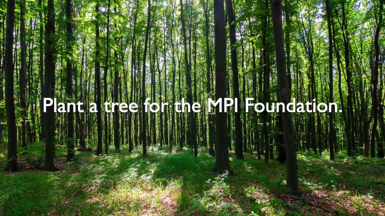 Plant a Tree for the MPI Foundation - YouTube
