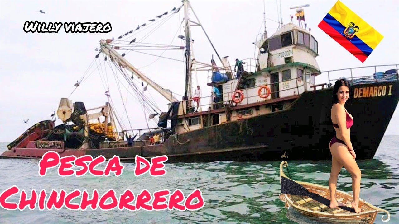 PESCA EN BARCO CHINCHORERO FISHING IN CHINCHORERO BOAT - YouTube