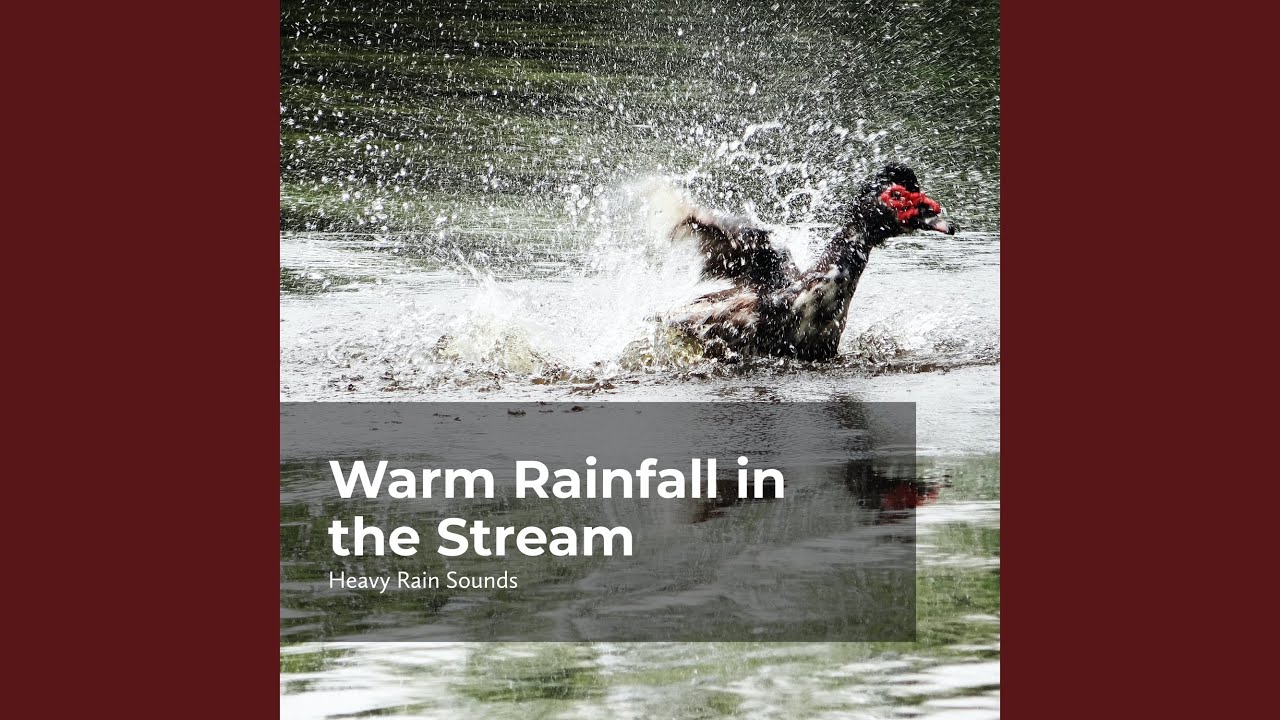 Copious Rain Surge - YouTube Music