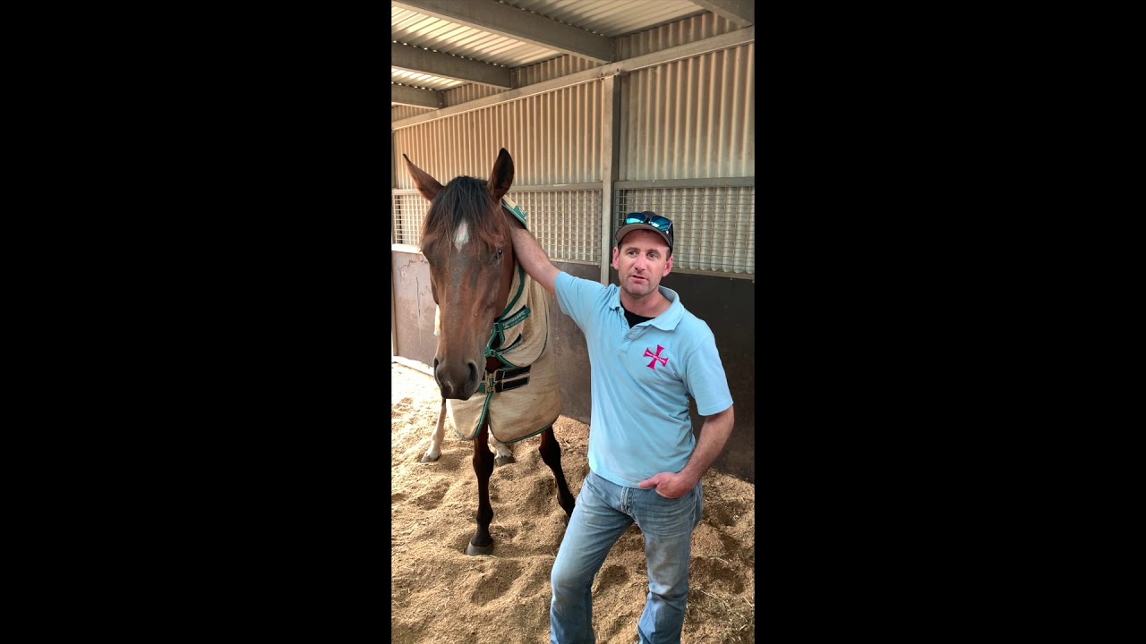 Declan Maher Interview - YouTube