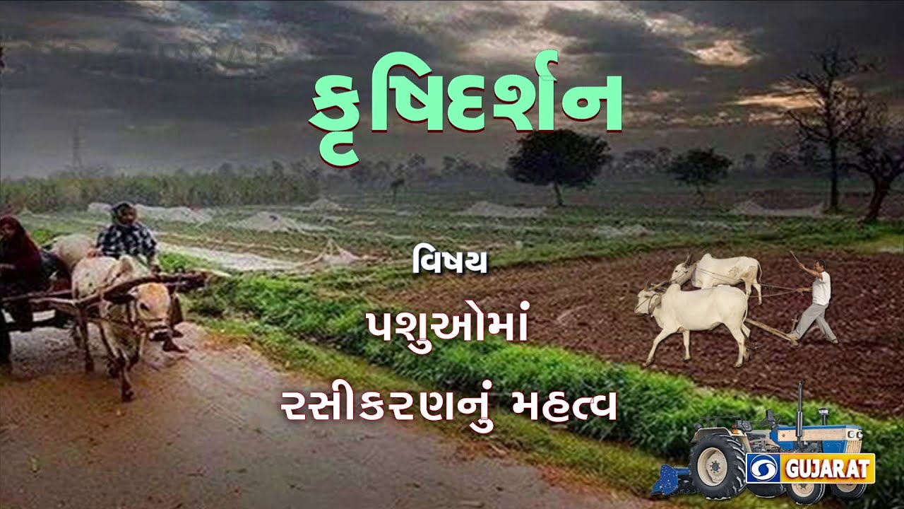 KRISHI DARSHAN PASHUO MA RASIKARAN NU MAHATVA T/C:-23/08/2022 - YouTube