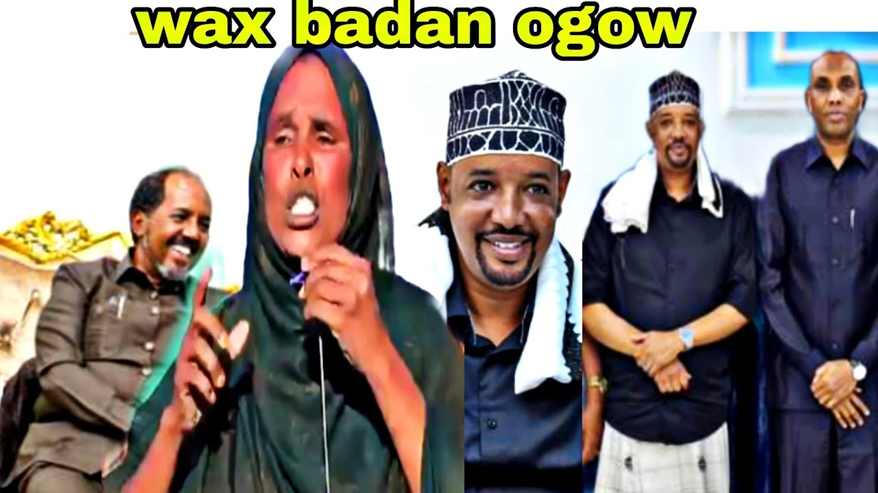 GABADH REER LAASCANOODA OO SHEEGTAY MEESHA KHAMRIGA LAGU ISTICMAALO IYO ...