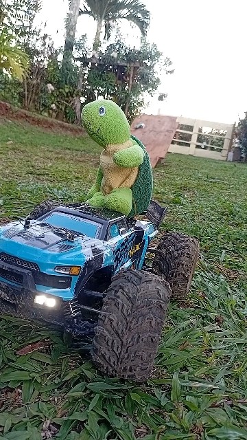 Tortoise and Rc Car Flies #rc #rccars #rccar - YouTube
