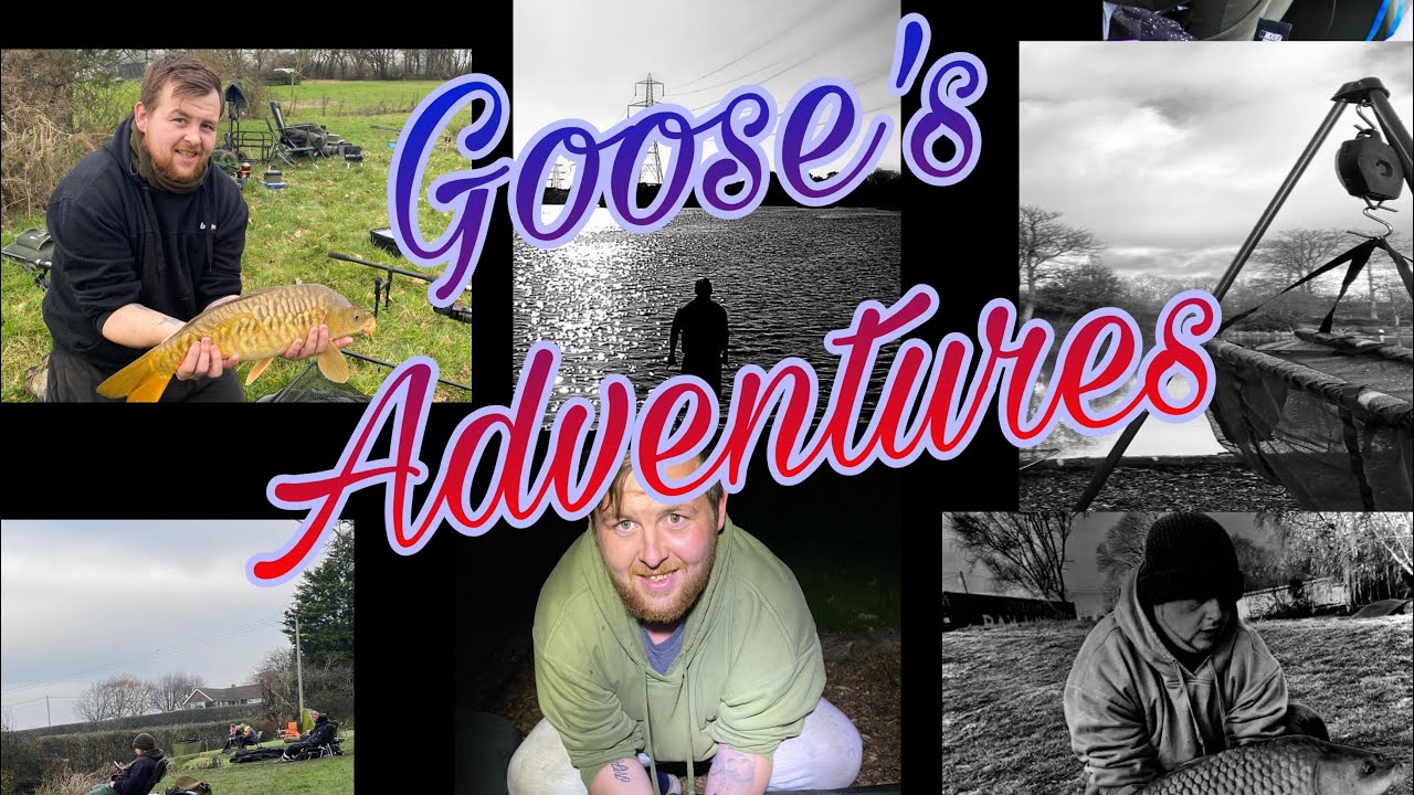 Goose’s Reactions to fails - YouTube