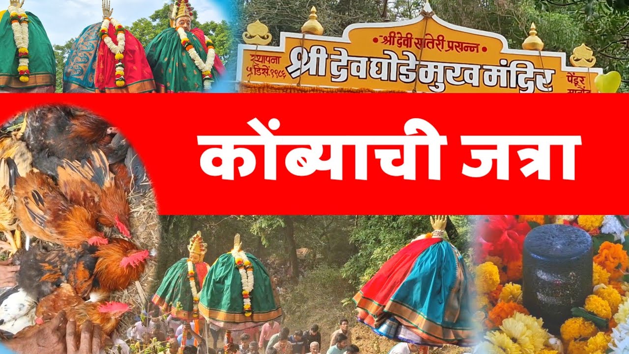#वेंगुर्ला#घोडेमुख# कोंबड्या ची जत्रा | ghodemukh kombyachi jatra 2024 ...