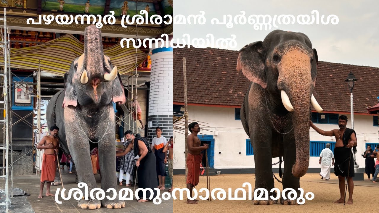 പഴയന്നൂർ ശ്രീരാമൻ പൂർണ്ണത്രയിശനെ തൊഴുവാൻ ആയി വന്നപ്പോൾ | pazhayanoor ...