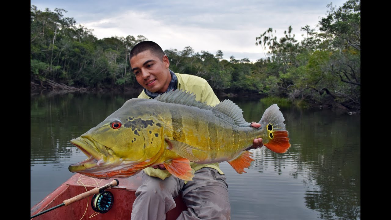 CRISTIAN VANEGAS Peacock Bass Fishing in Colombia Rio MATAVENI Pesca de ...