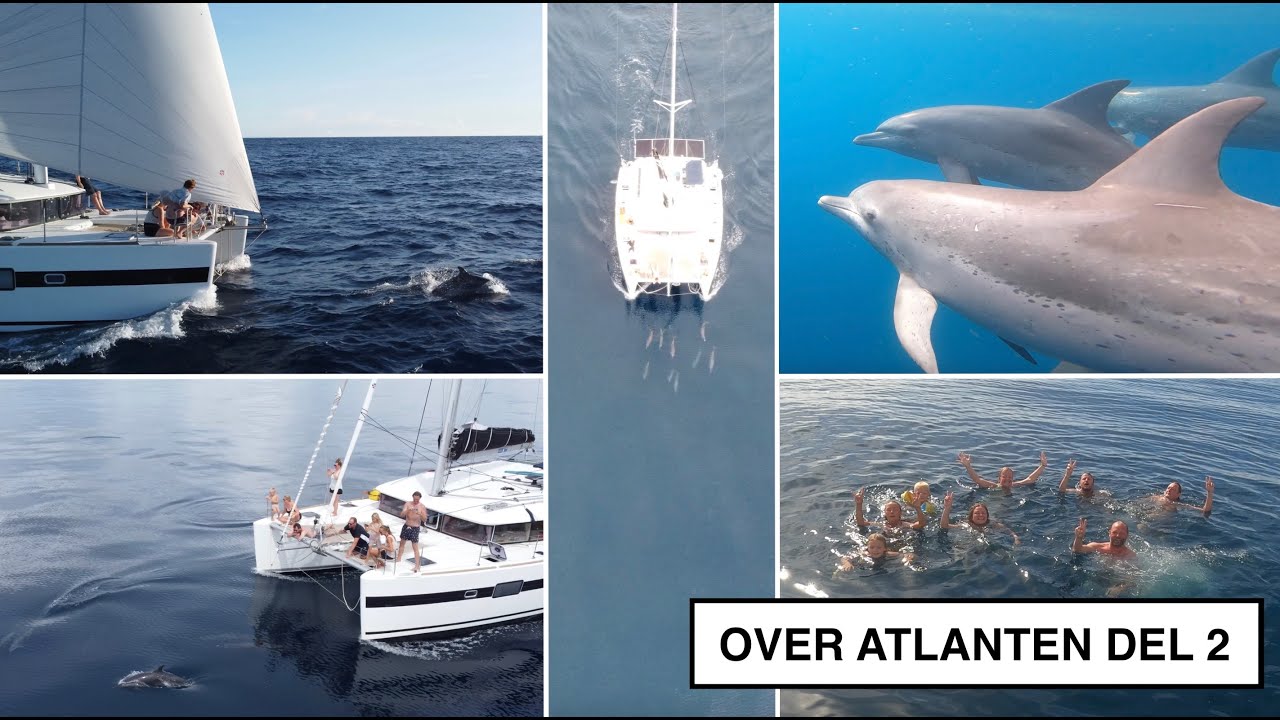 Over Atlanten del 2 - Delfiner - Bader i Atlanterhavet - På ...