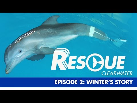 Winter's Story - Rescue-Clearwater Season 1: Ep. 2