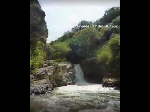 Narıngül xanım Zeynəb- \