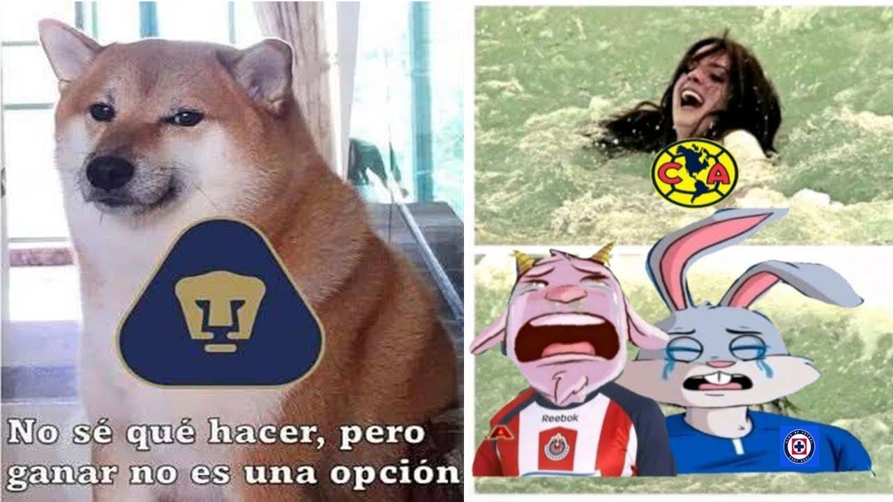 ⚽🐐EL CHIVO EMPINADO Y EL ARRIMADO HUMILLADO 🐰😂 Los mejores MEMES de la ...