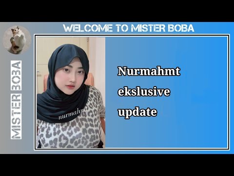 Nurmahmt, Gameplay zombie Tsunami Mister Boba 2 