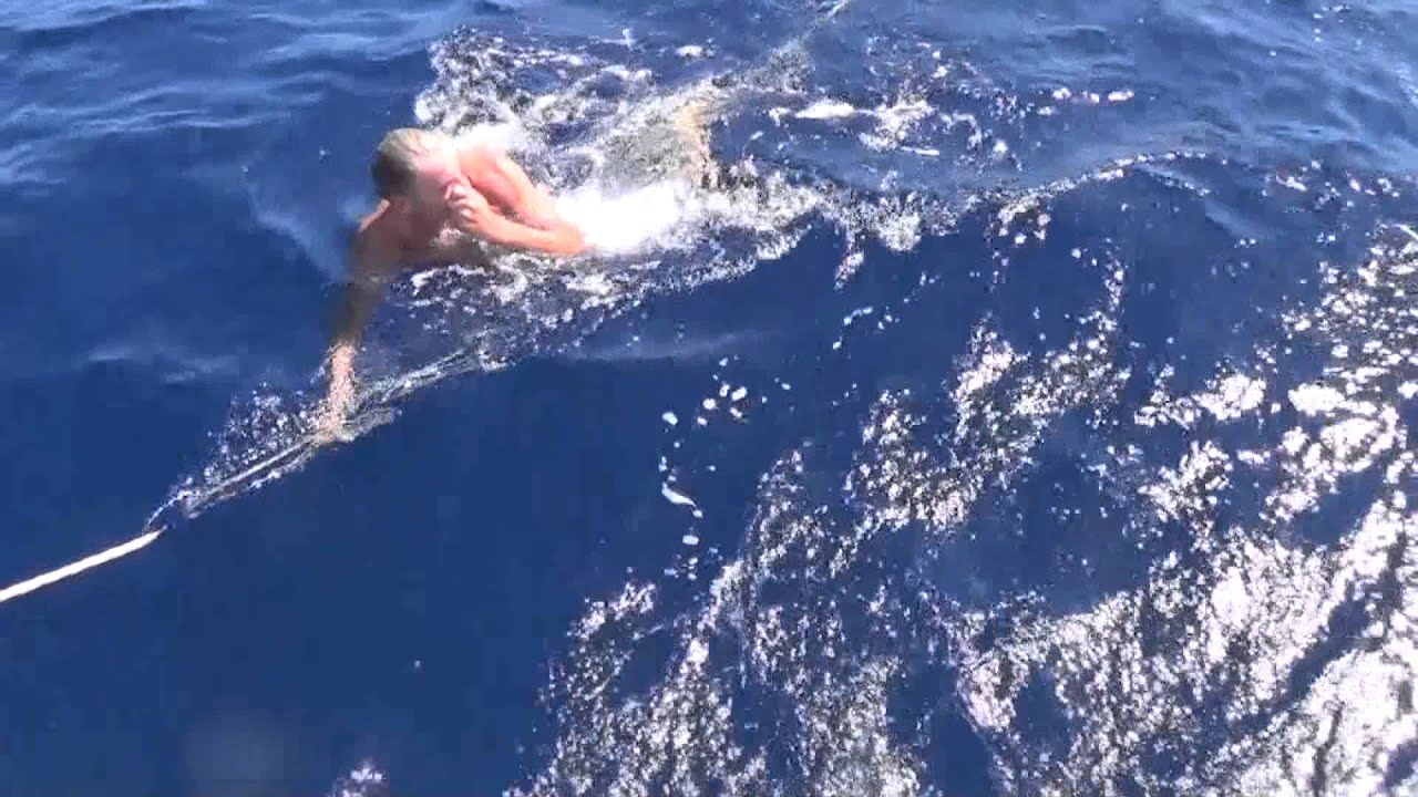 Sailing and Swimming with dolphin's from Majorca to Gibraltar - YouTube