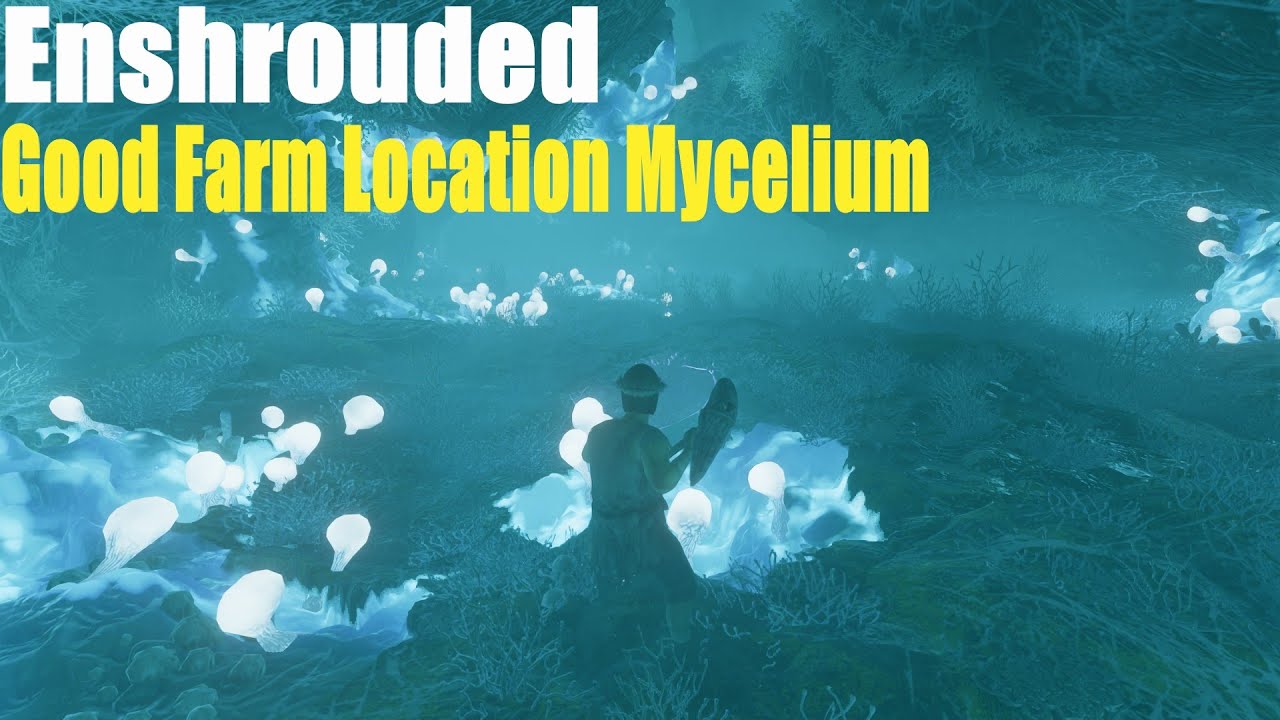 Enshrouded,Good Farm Location Mycelium - YouTube