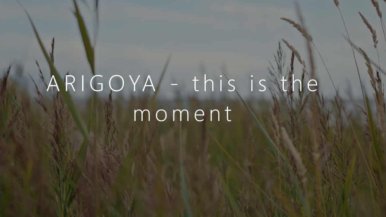 ARIGOYA - this is the moment - YouTube