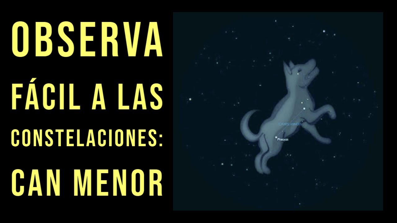 Observa fácil a las constelaciones (6): Can Menor 🐕🔭🌟🌟⭐⭐ - YouTube