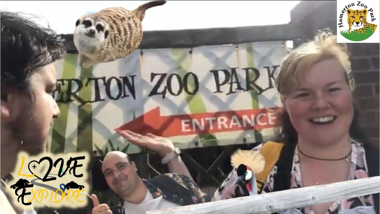 Hamerton Zoo, Huntingdon | Travel Vlog - YouTube