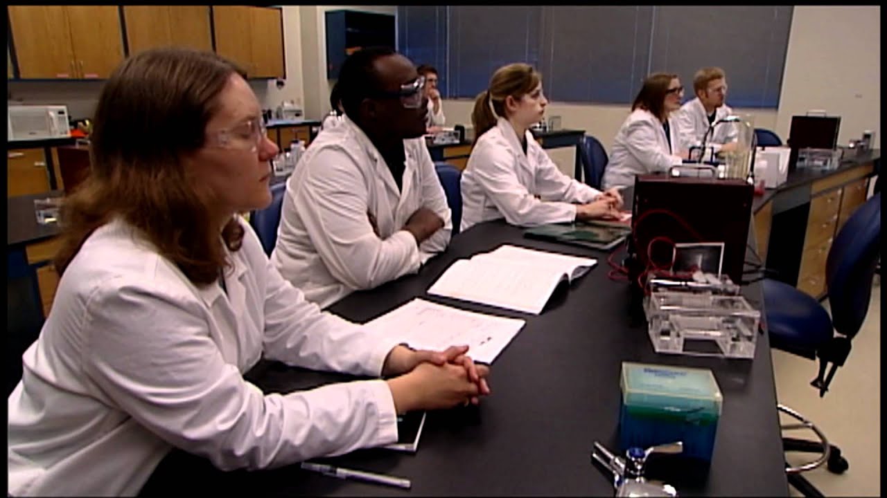 What Does a Biotechnology Course Look Like? - YouTube