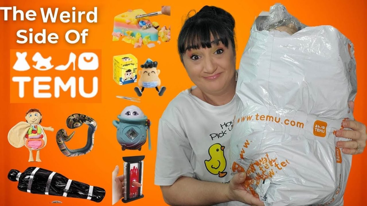 Welcome To The Weird Side Of TEMU | 1/1/24 | Bringing In The New Year ...