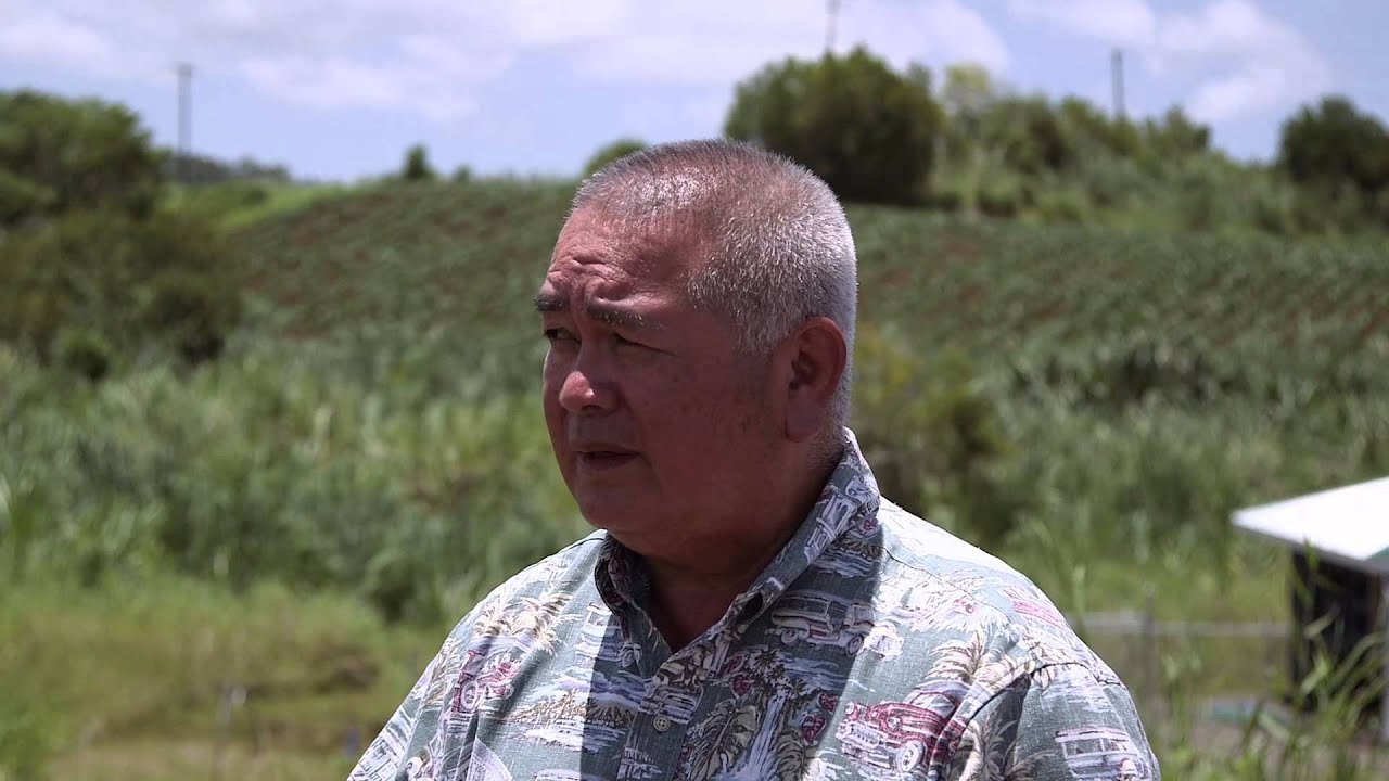 Richard Ha feature - YouTube