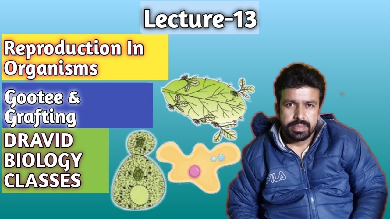 Reproduction In Organisms (Gootee & Grafting), Lecture-13, Class-12 ...