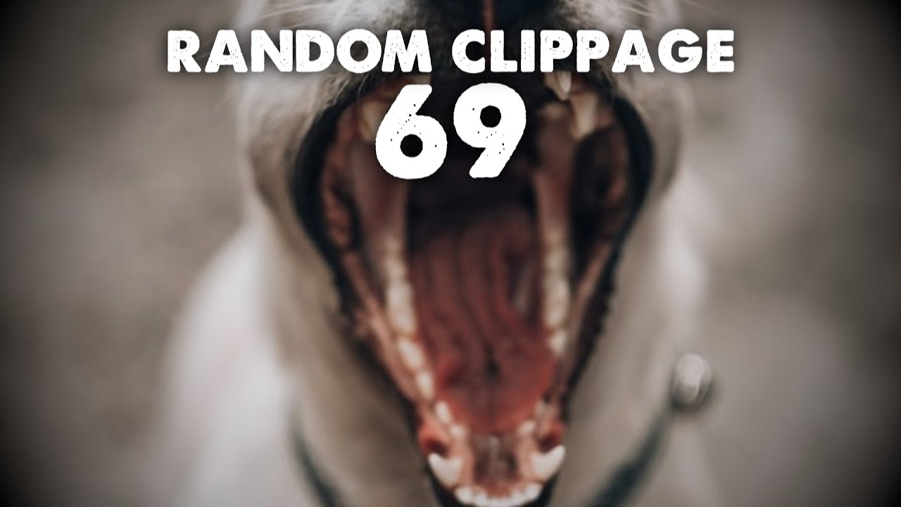 276. Motorcycle Random Clippage #69 | Compilation - YouTube