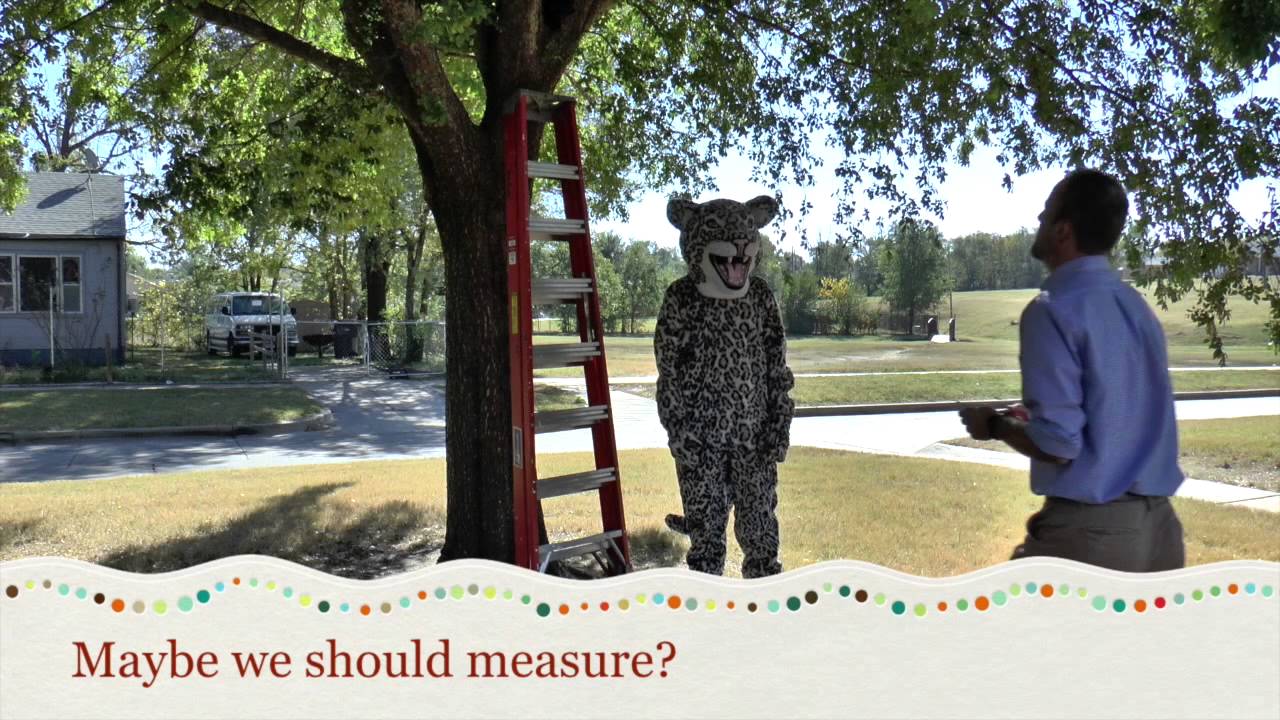 Mr Cat and the Pythagorean Theorem - YouTube