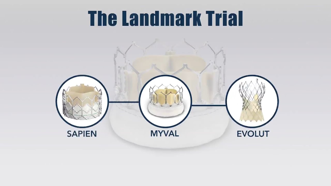 LANDMARK trial: Early outcomes of a randomised non-inferiority trial ...